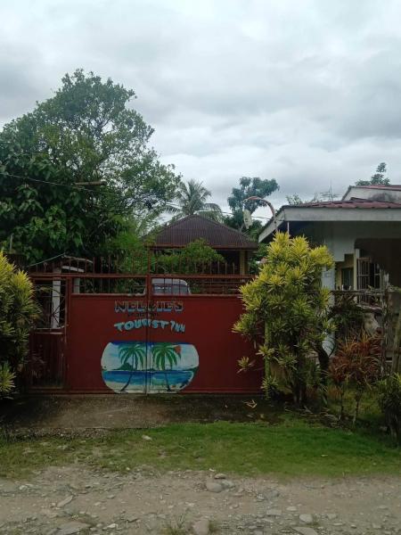 Nellie's Tourist Inn- Port Barton - Filipinler