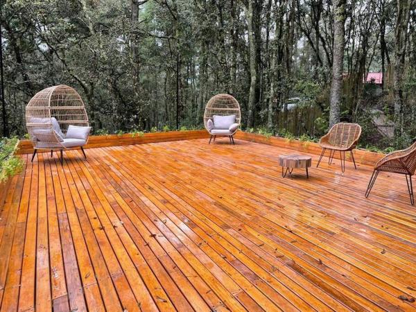 Chalet Nordico Enmedio Del Bosque - Pachuca