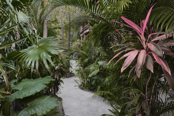Hotel Boutique Terranova - Tulum