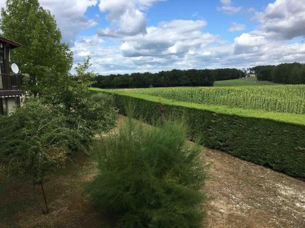 Un Nid Pour Vous, Courts Séjours Ou Cures - Cazaubon