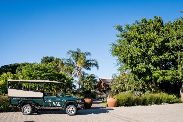 Addo Wildlife - Addo