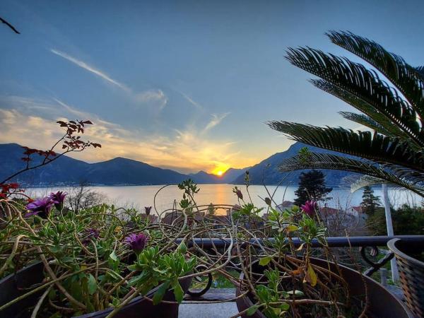 Apartment Terazza Di Ljuta - Montenegro