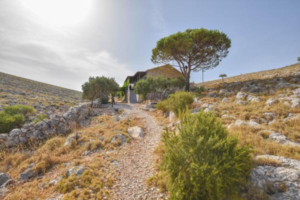 House Mandica - Dugi otok