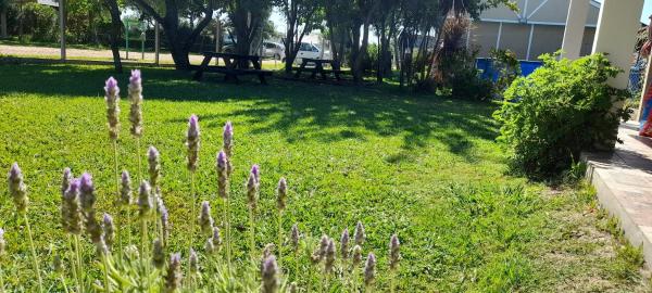 Rulitos De Sol - Gualeguaychú