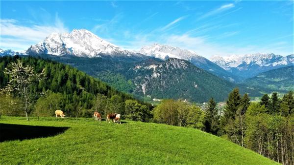 1 Bergpanorama Und Atemberaubende Alpine Almlandschaft Für Absolute Nichtraucher - Berchtesgaden