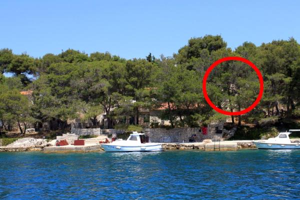Secluded Fisherman's Cottage Lavdara, Dugi Otok - 8155 - Sali