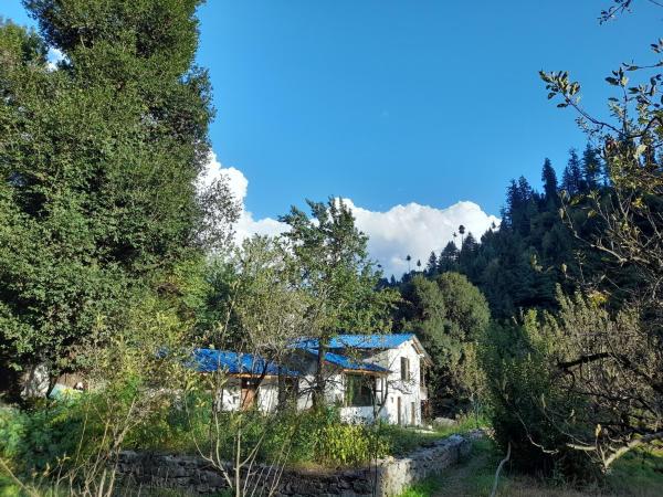 Attic Monkey Hostel - Old Manali - Manali