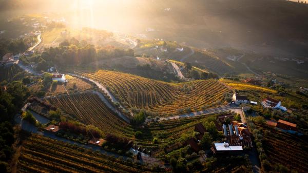 Vila Marim Country Houses - Douro