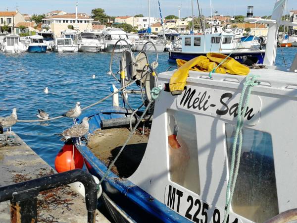 La Côte Bleue - Martigues