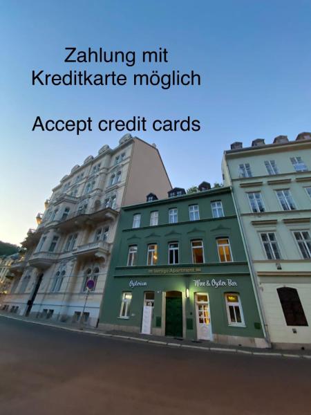 Apartment Vertigo - Karlovy Vary