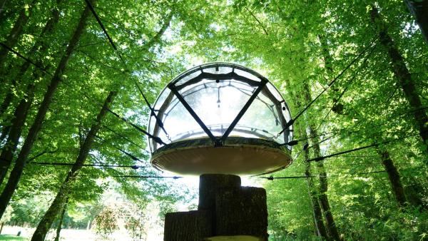 Ô Pays Des Bois - Hébergements Insolites En Pleine Nature - Isère