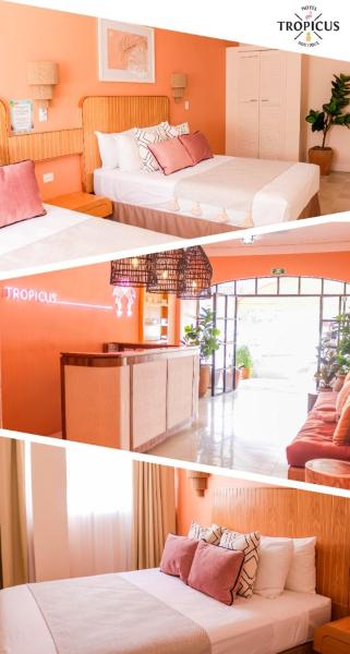 Hotel Tropicus Boutique - Conchas Chinas