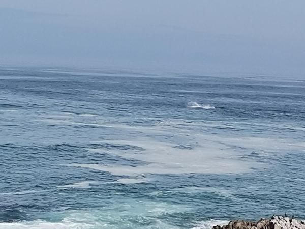 On The Rocks Guesthouse - De Kelders