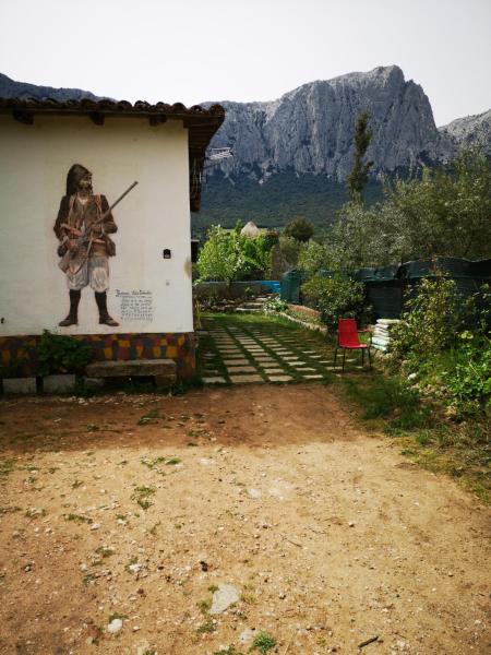 Pinnettu Sardo Casa Di Campagna In Ecosistema Insetti E Animaletti Simpatici In Condivisione,leggere Attentamente Prima Di Prenotare - Italy