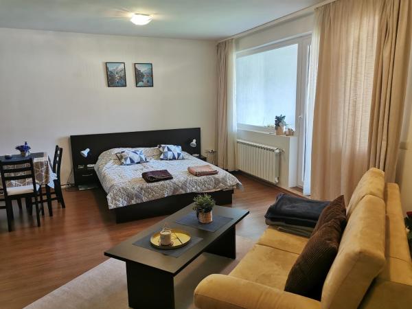 Sunny Studio Apartment - Few Steps From Gondola - Bulgarie