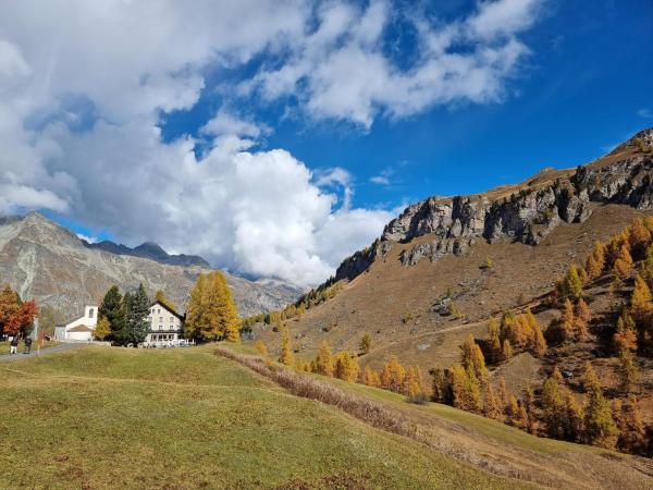 Hotel Sonne Fex Alpine Hideaway - Sils im Engadin/Segl