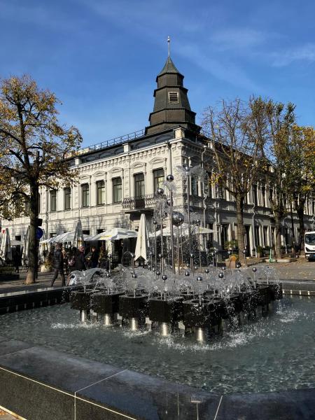Ingos Laisves Al. Apartamentai - Kaunas