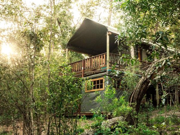Fernhill Tented Treehouses - Afrique du Sud