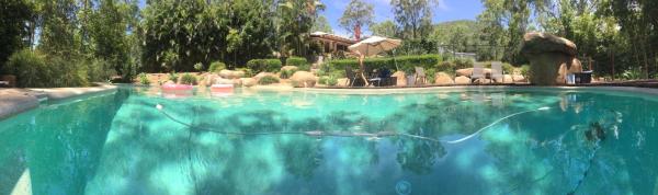 Samford Bush Haven - Brisbane