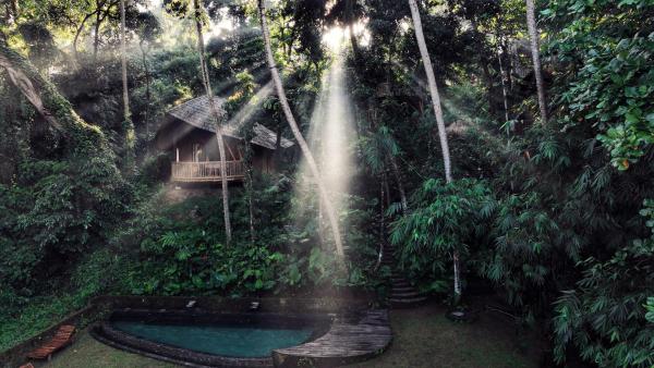 Bungalow Confort&eco Responsable 5km Ubud Centre - Bali