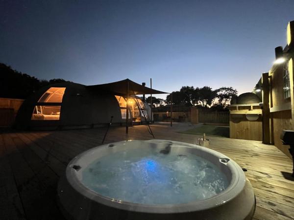 Moonlight Dome Tent - Tenby