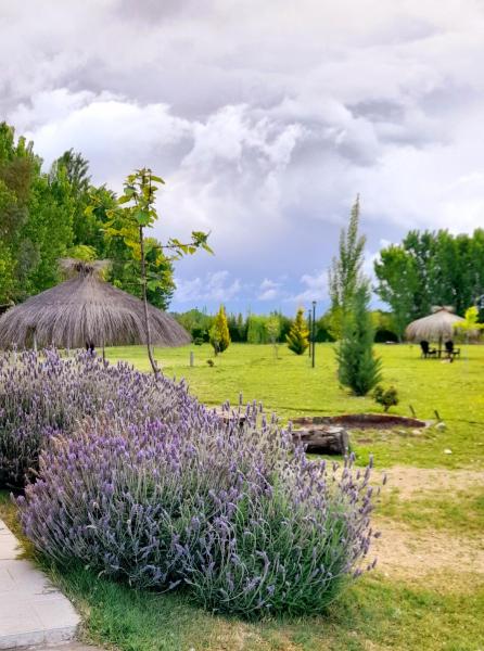 Finca El Colibrí - 산라파엘