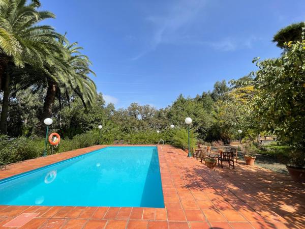 Casa Rural En Medio Del Bosque, El Lance - Moya