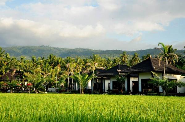 Luxury Villas With Great View At Lovina - Munduk