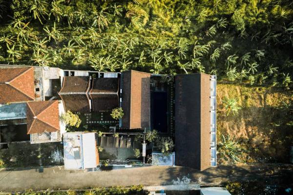 Belimbing Guest House Canggu - Canggu