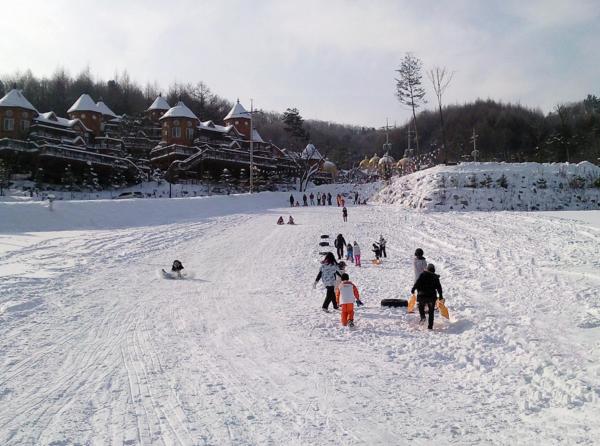 Elf Resort Hotel - Gangwon-do