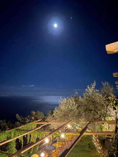 Fico D'india Relais - Furore