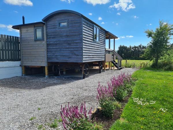 Thornhills Lodge - Dorset