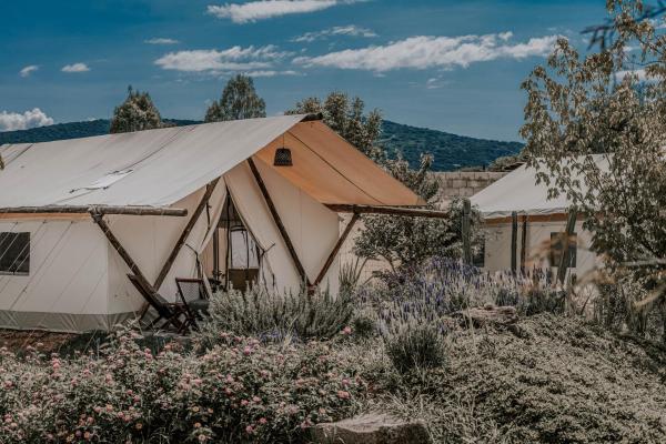 Salterra Glamping - Querétaro