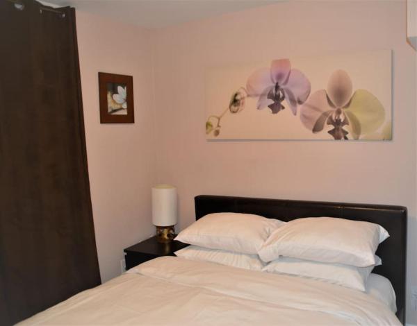 Beautiful And Spacious Basement Apartment - Brampton