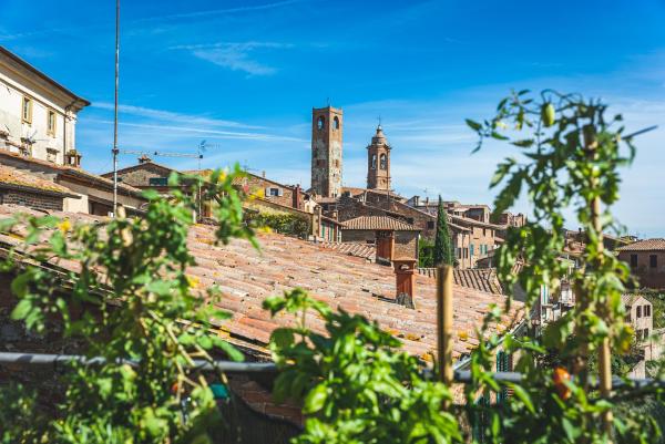 Casa Grinta B&b - Chiusi