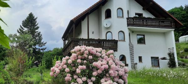 Am Waldesrand - Warmensteinach