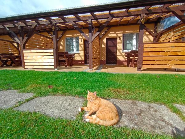 Agroturystyka Alex - Polnische Ostsee