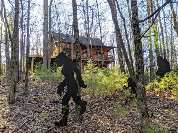 Camp Sasquatch - Powder Horn Mountain - North Carolina