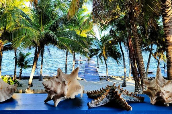 Beachfront 2br Apartment, Private Pool, Dock/beach - Belize