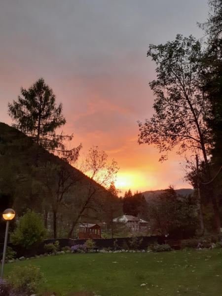 Soggiorno Vacanze Stella Alpina - Temù