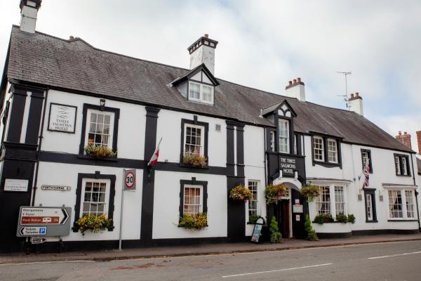 Three Salmons Hotel - Usk