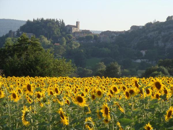 B&b Chez Lisa Et Jeff - Draguignan