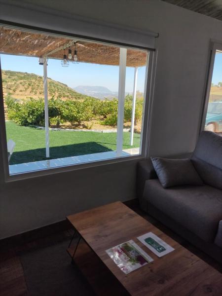 Casa La Viña - Olvera