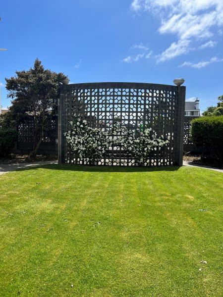 Bings Motel - New Zealand