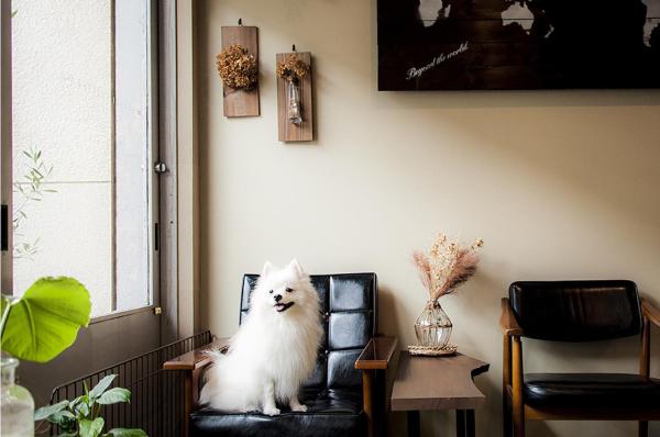 Suzuki Guesthouse - Kyoto