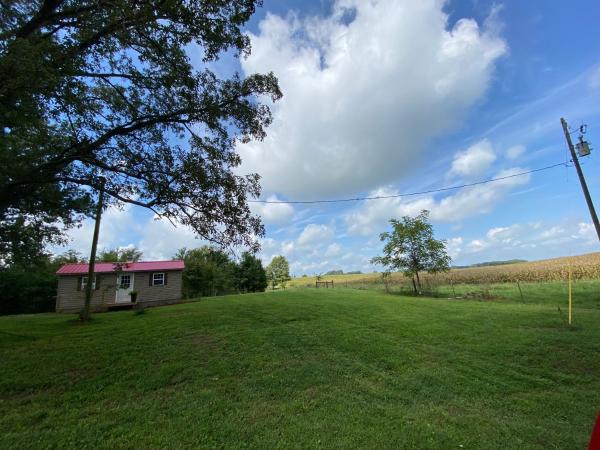 Cozy 12x24 Big Charm Small House On 350 Acre Grain Beef Farm Near Mammoth Cave! - Kentucky