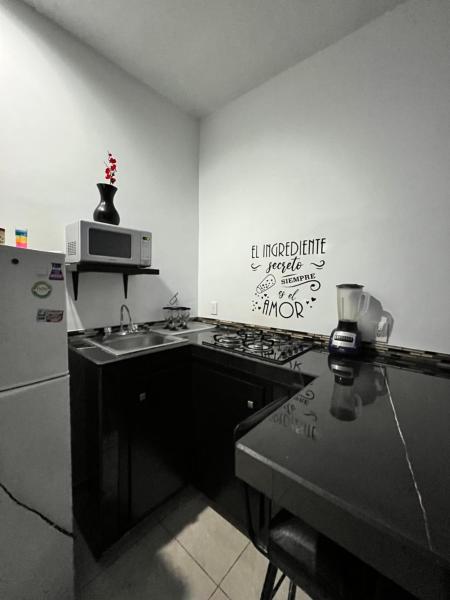 Mini Casa Llena De Vida - Durango