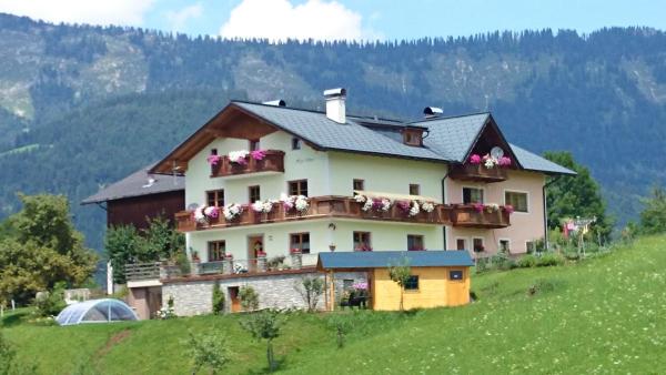 Biohof Haus Wieser - Abtenau