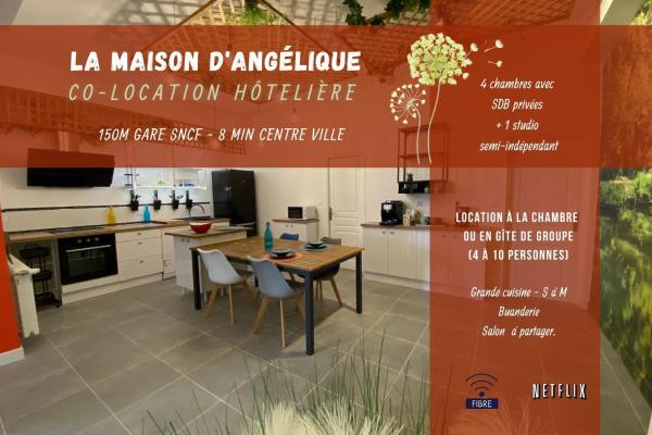 La Maison D'angélique - Colocation Hôtelière à 150m Gare Tgv- Grande Cuisine éQuipée & Salon - Fibre - Netflix - Marais poitevin