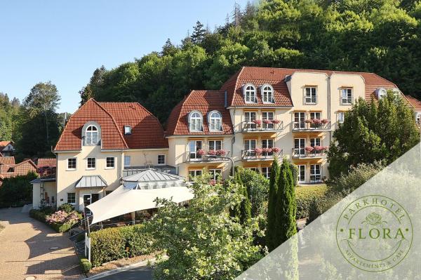 Parkhotel Flora - Harz